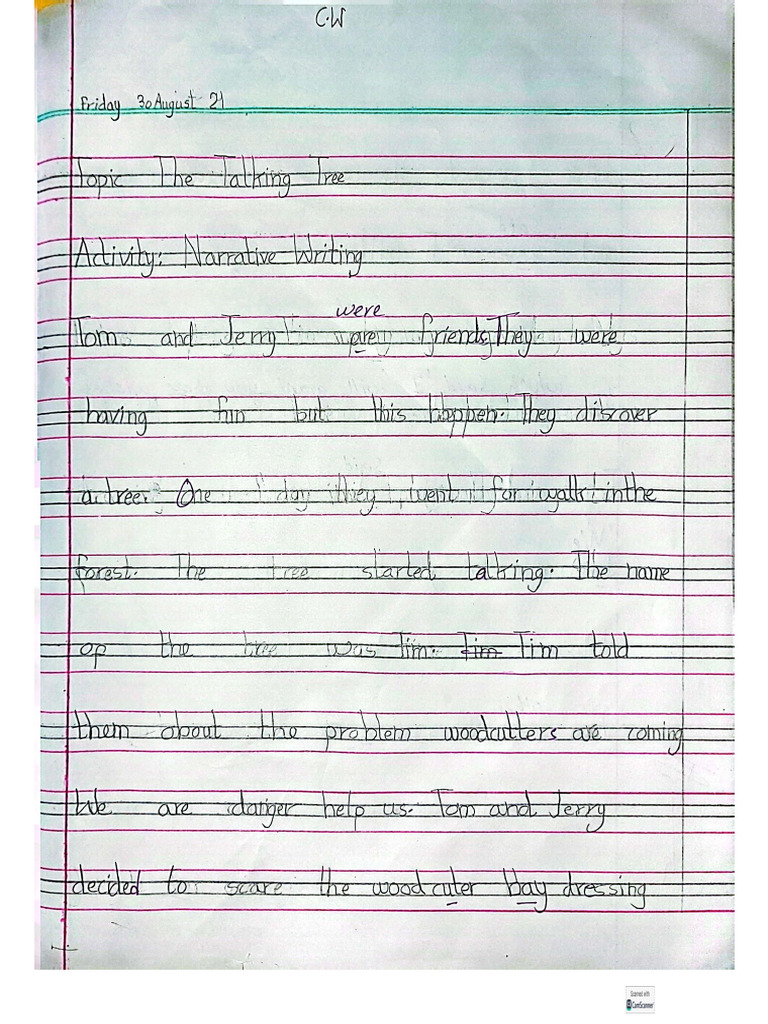 English Launguage 3 | PDF