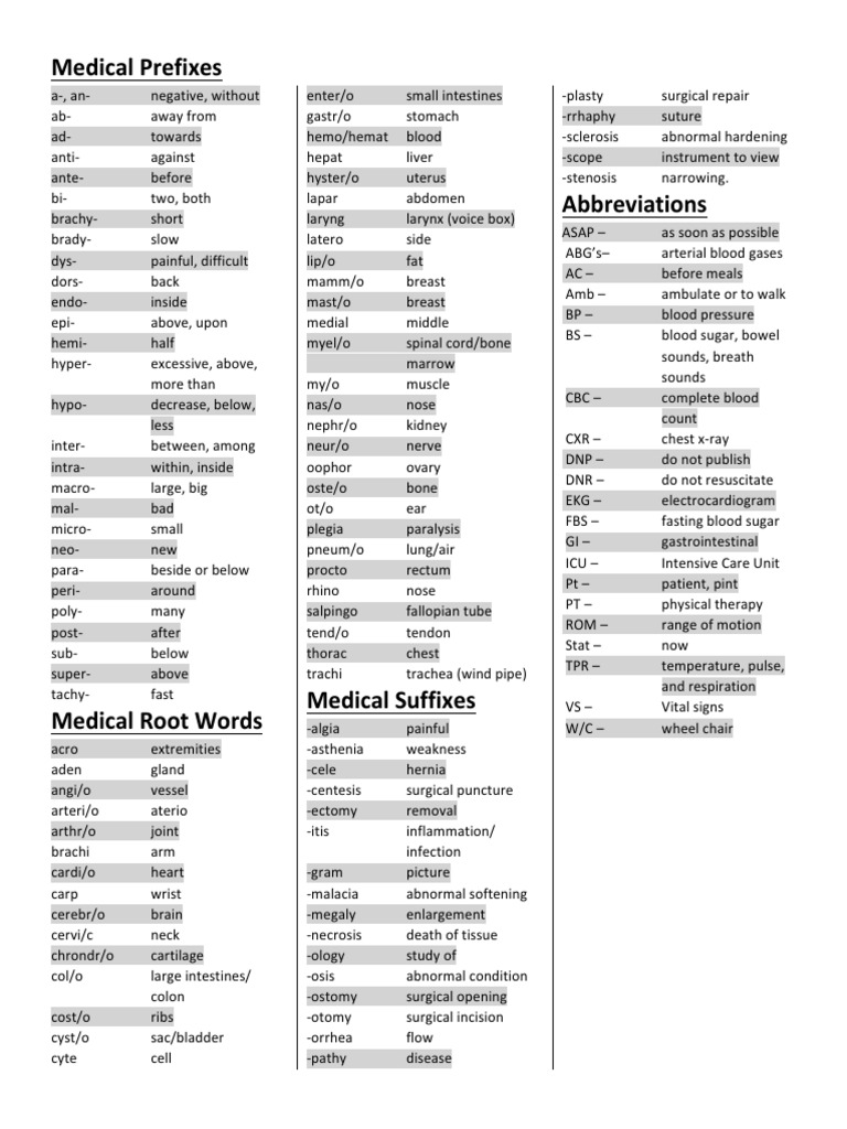 Medical Prefixes and Suffixes Guide | PDF | Thorax | Anatomy