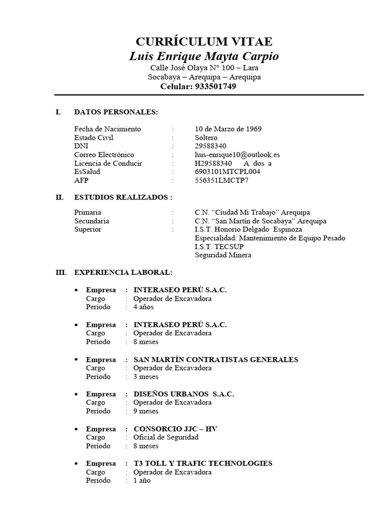 Currículum Luis Mayta | PDF