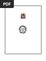 Saps Strategic Plan 2020to2025 | PDF | Governance | Sustainability