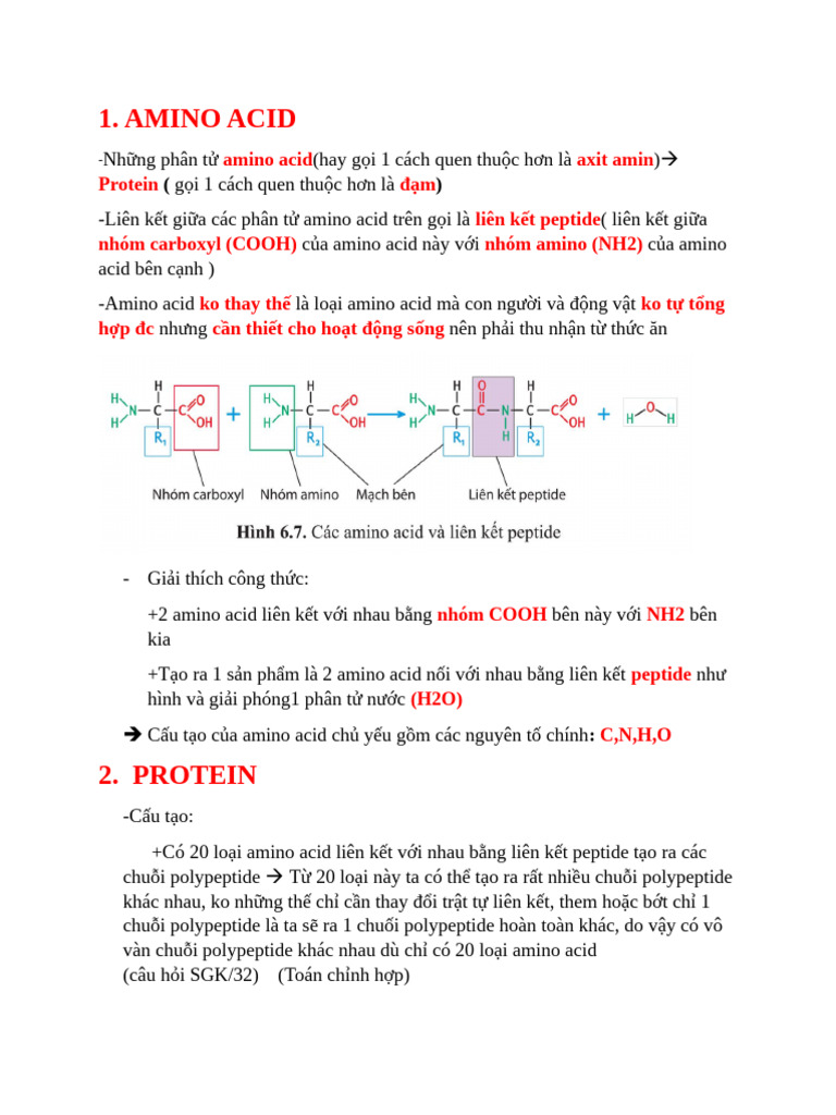 NH NG Phân T Amino Acid.1 | PDF