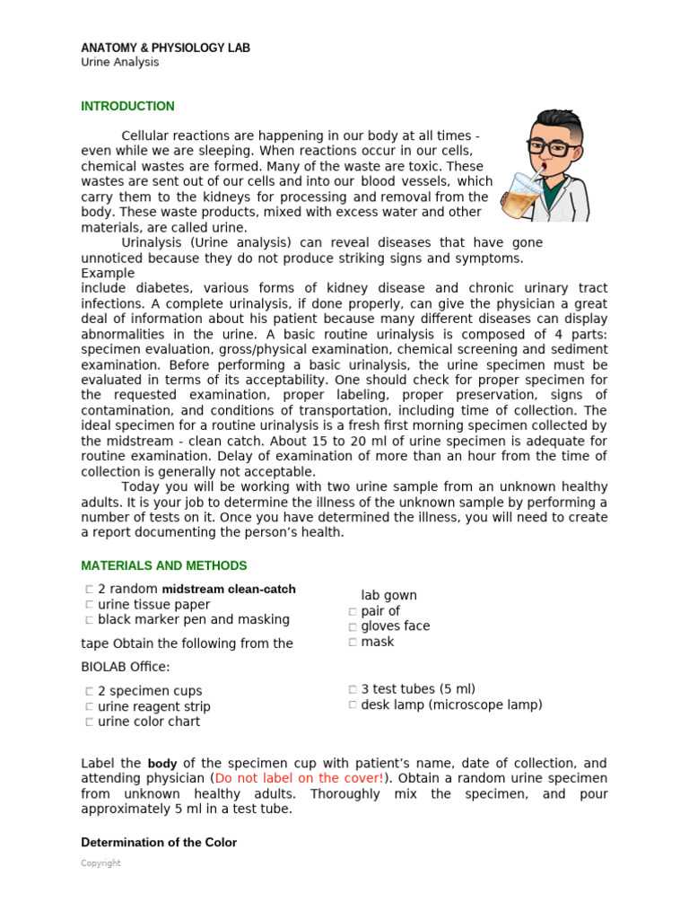 A12 Urine Analysis | PDF | Physical Examination | Urine