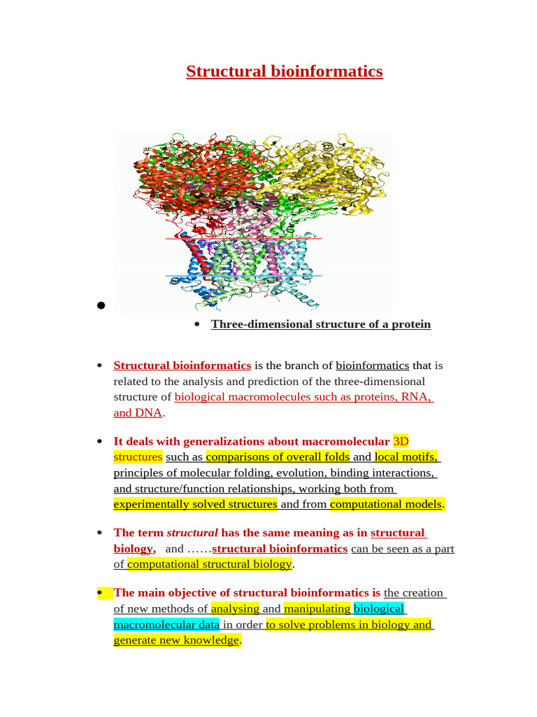 Structural Bioinformatics | PDF | Protein Structure | Proteins