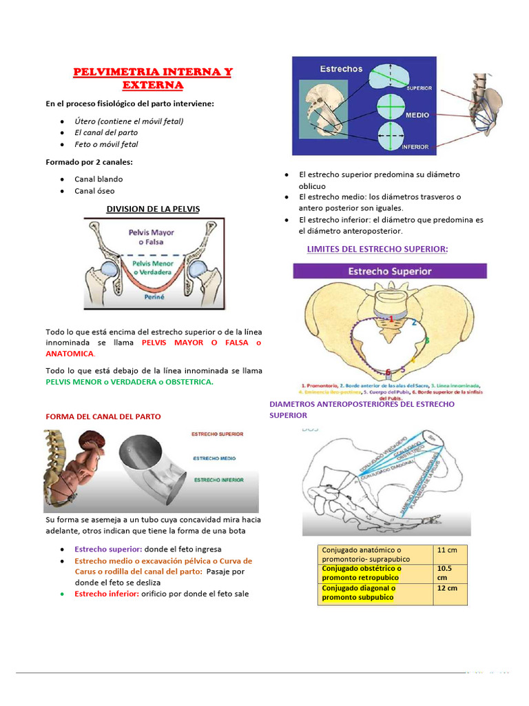 Pelvimetria Pelvimetria Pelvimetria Compress | PDF | Pelvis | Sistema musculoesquelético