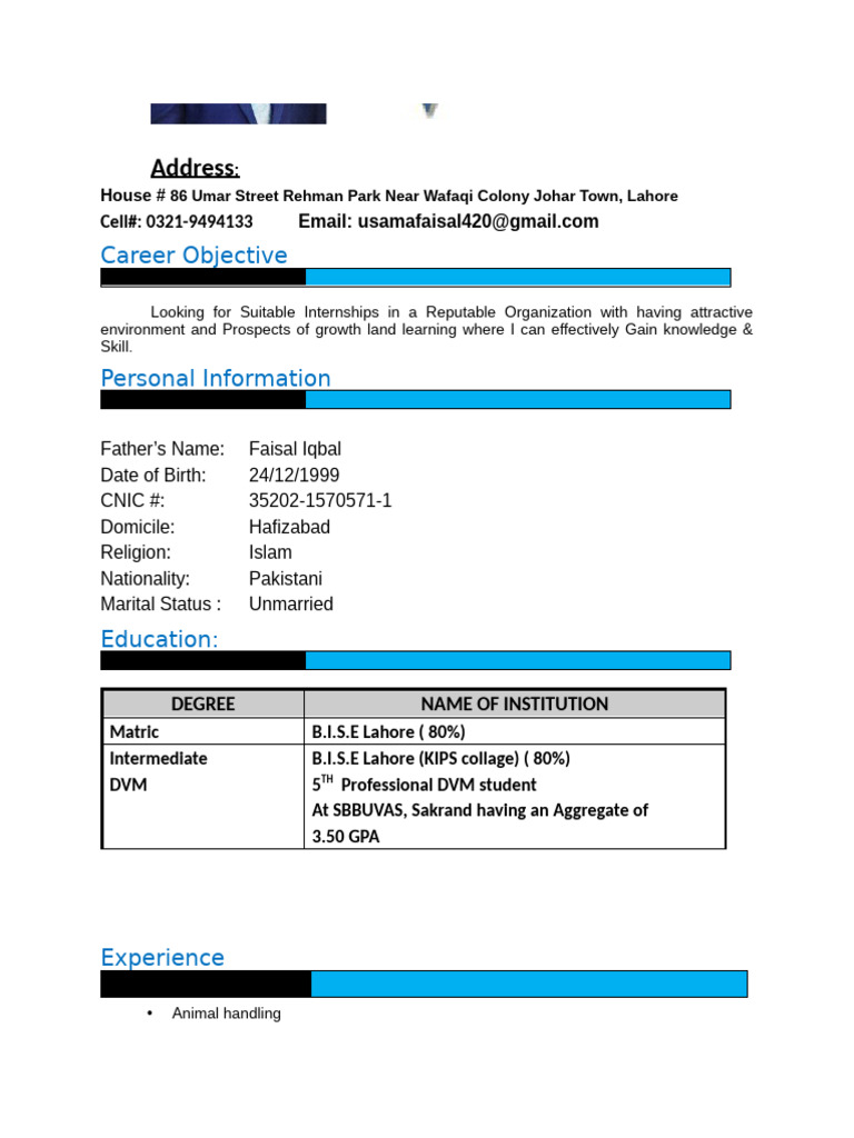 CV Usama Faisal (2) - 1 | PDF