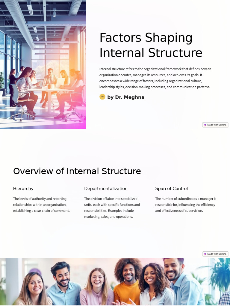 Factors Shaping Internal Structure | PDF | Organizational Culture | Leadership