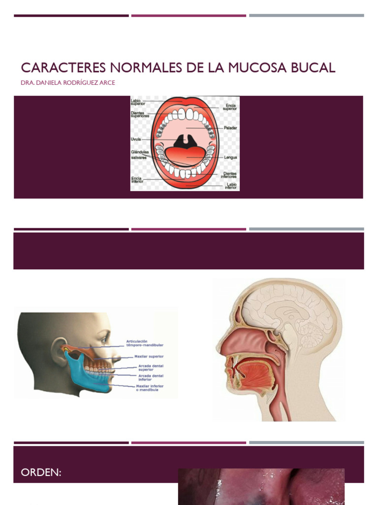 Características Normales de La Mucosa | PDF