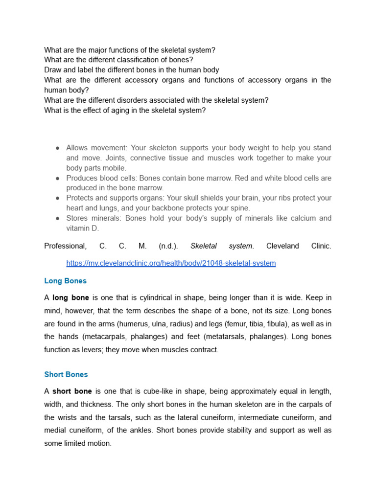 Anaphy Skeletal System | PDF | Pancreas | Liver