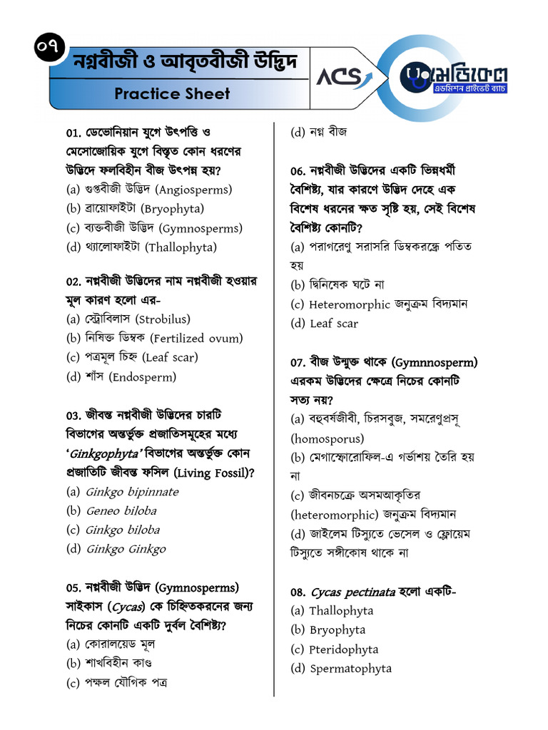 Practice - Sheet | PDF