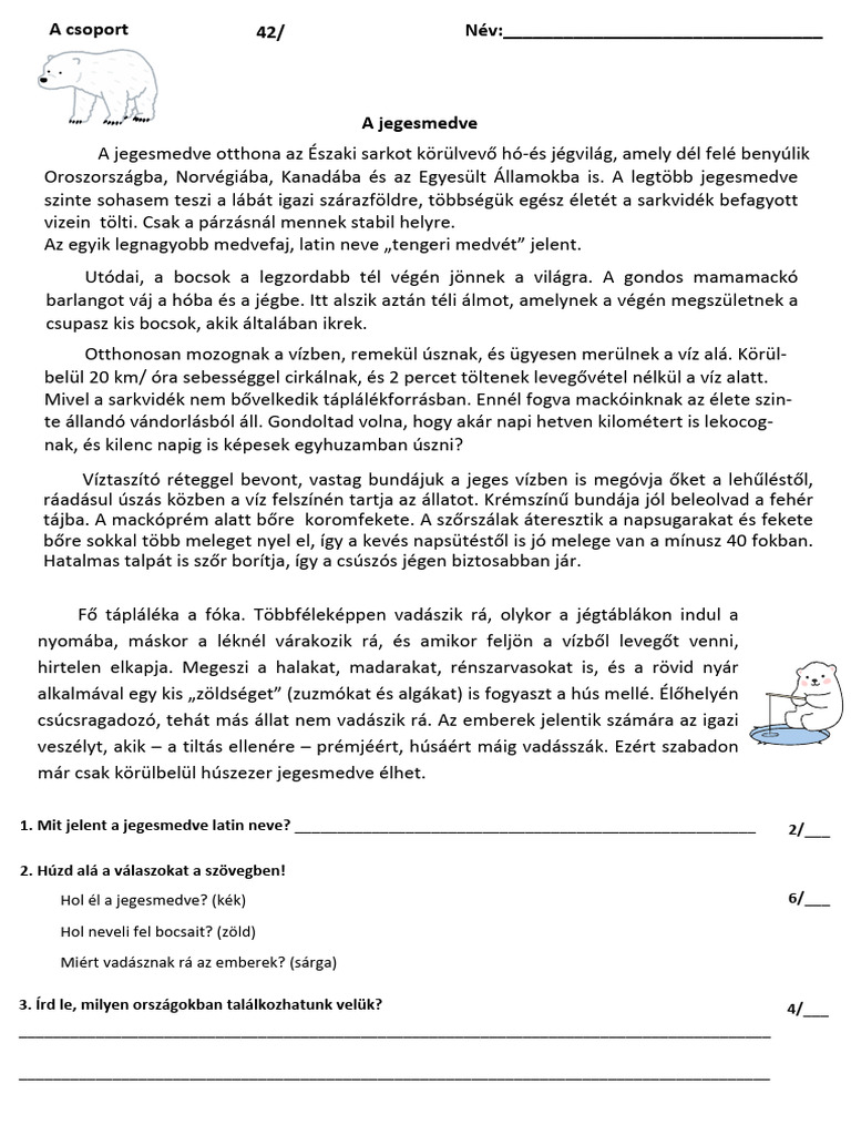 A Jegesmedve Szövegértés Felmérő PDF | PDF