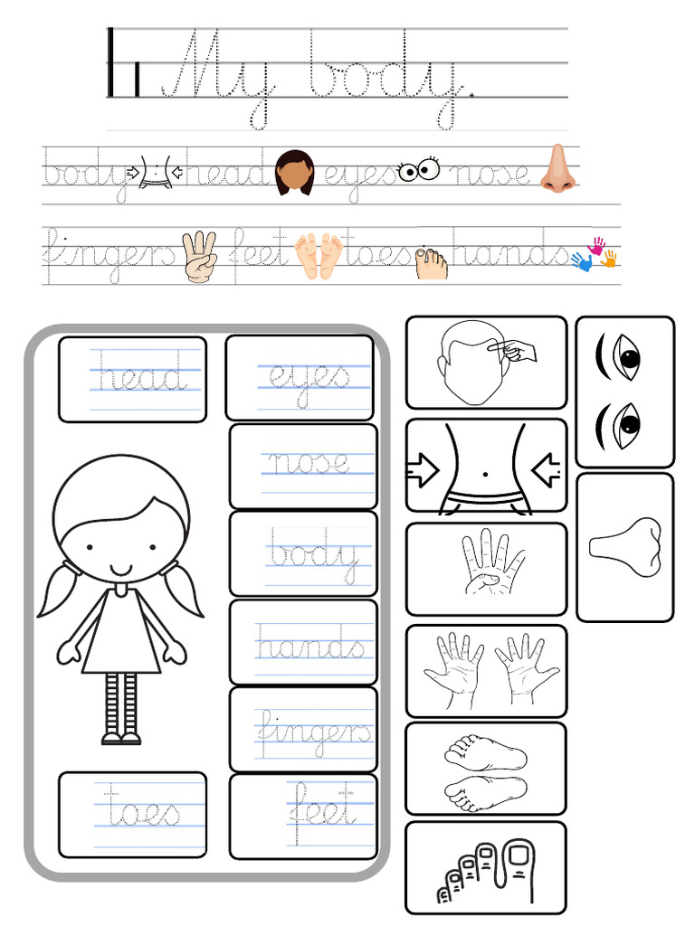 4.my Body 1st Grade | PDF