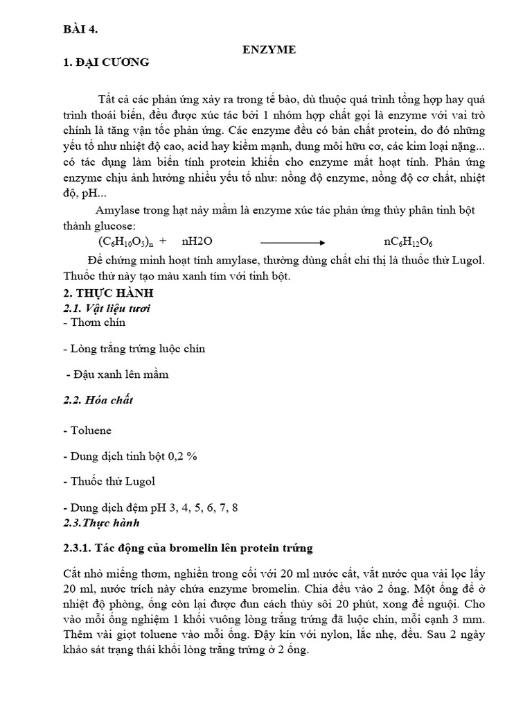 BAI-4 ENyme | PDF