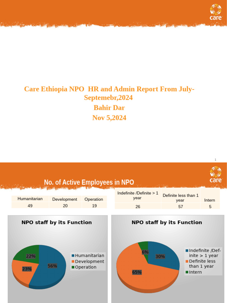 NPO HR and Admin Report | PDF