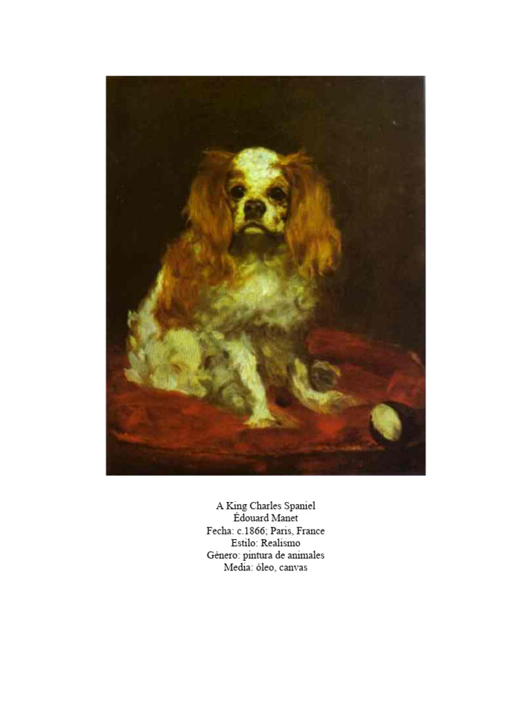 A King Charles Spaniel | PDF