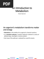 Chapter 8: Metabolism and Energy | PDF | Enzyme | Enzyme Inhibitor