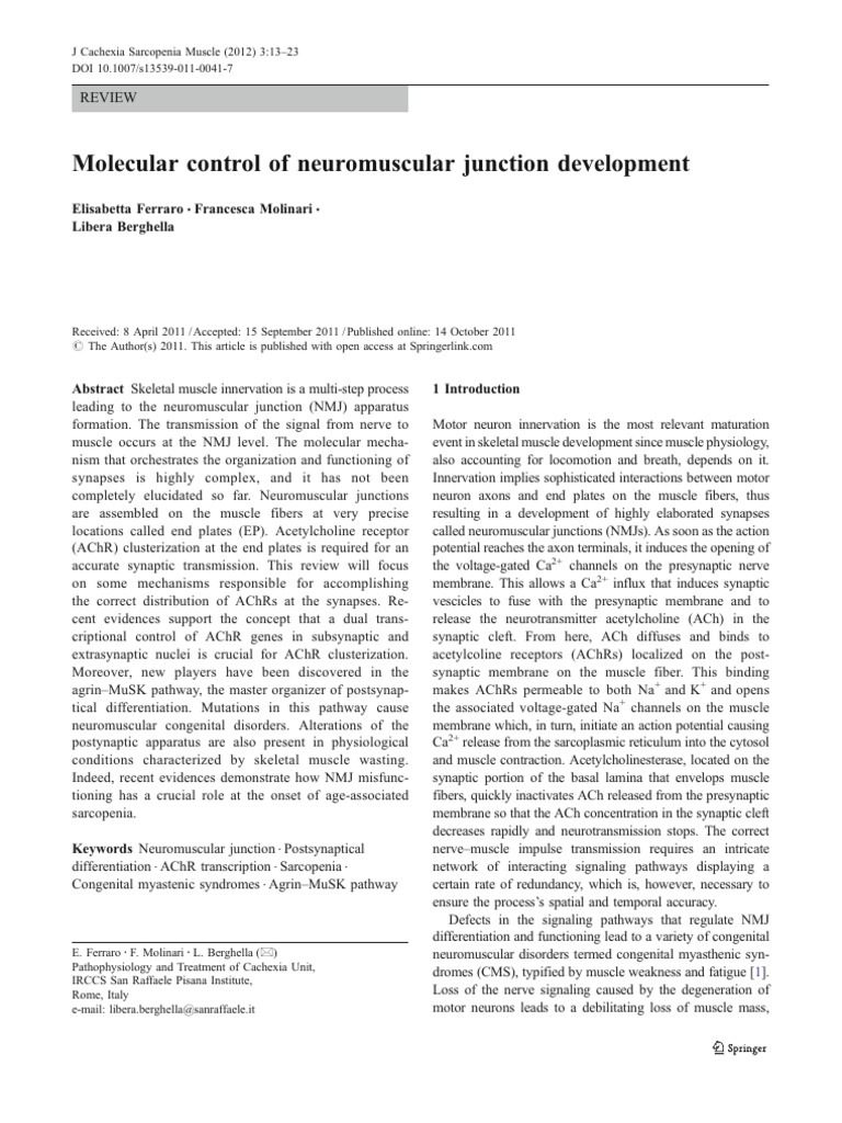 Section 1.4 Molecular Control of Neuromuscular Junction Development ...