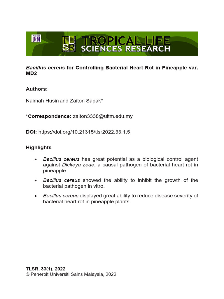 Bacillus Cereus For Controlling Bacterial Heart Rot in Pineapple Var ...