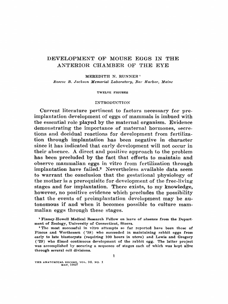 Intraocular Development of Mouse Eggs | PDF | Uterus | Embryo