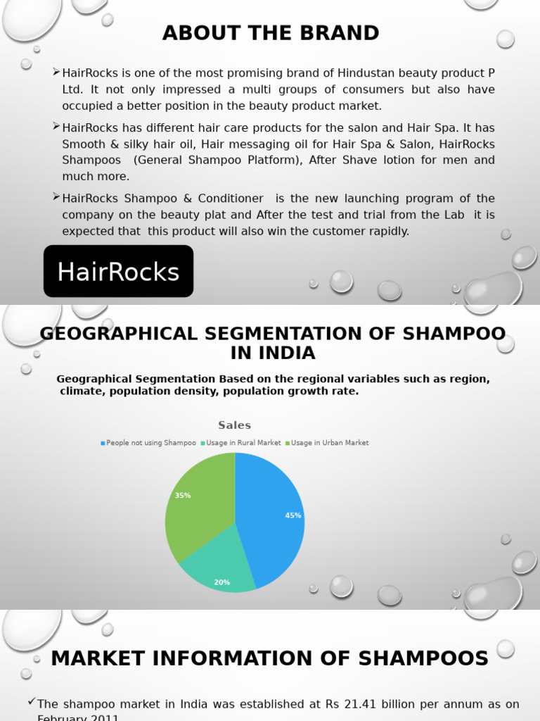 HairRocks Shampoo: Market Overview & Strategy | PDF | Marketing ...