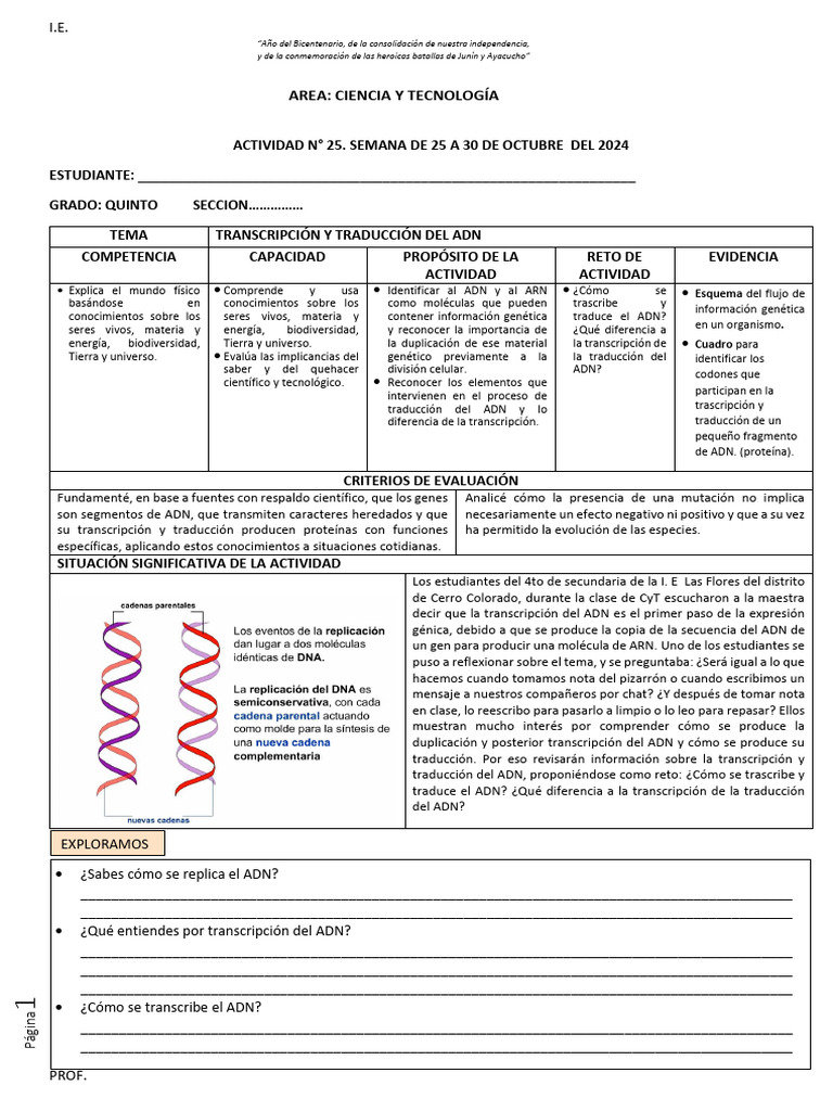 4°sec - U7 - ACT. 25 (CyT Explica 2024) - Transcripción y Traducción Del ADN | PDF | Traducción ...