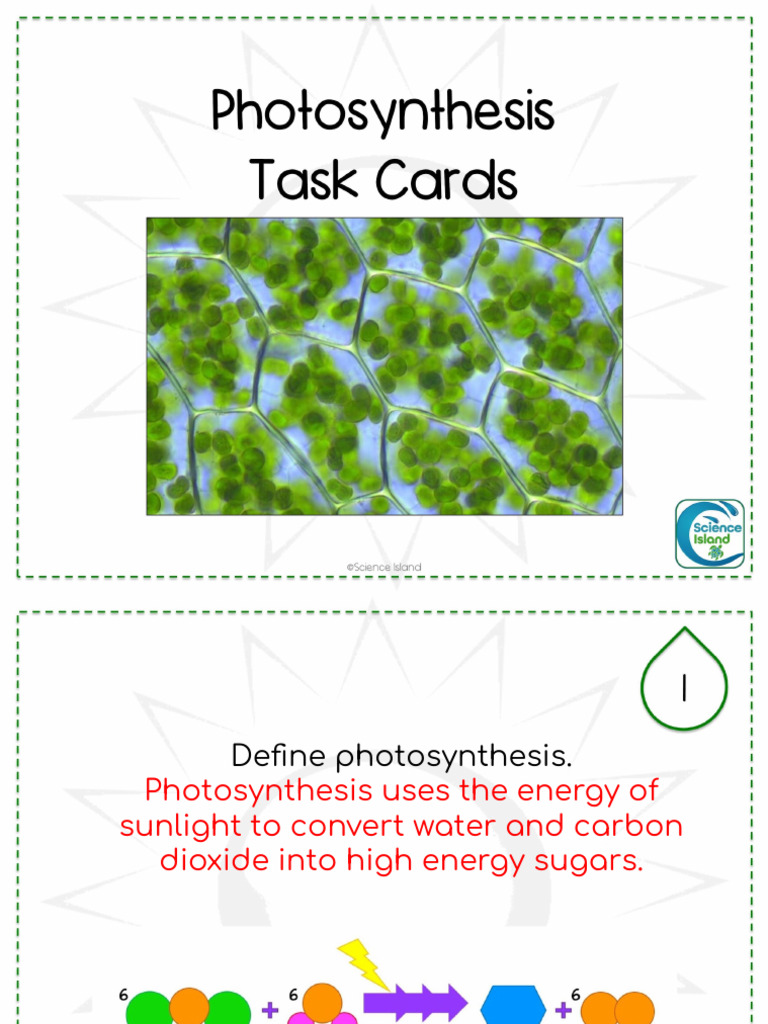 Photosynthesis Task Cards | PDF | Photosynthesis | Chloroplast