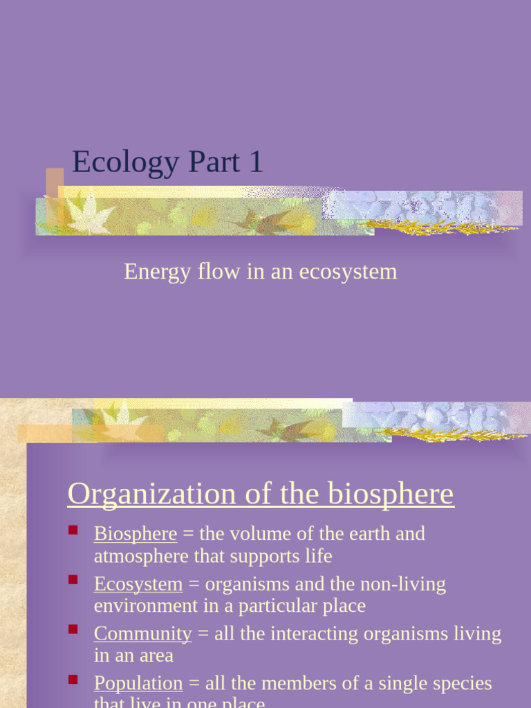 Ecology Part 1 Energy Flow and Levels of Organization | PDF