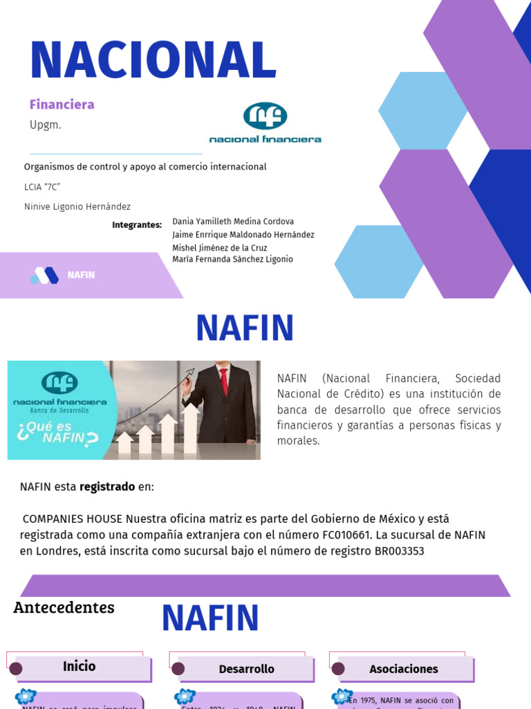 NAFIN: Impulso a MiPyMes en México | PDF | Pequeñas y medianas empresas ...
