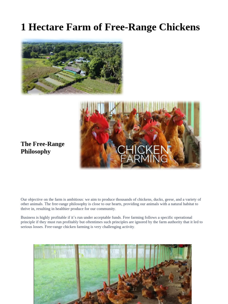 1 Hectare Farm of Free | PDF | Poultry | Chicken