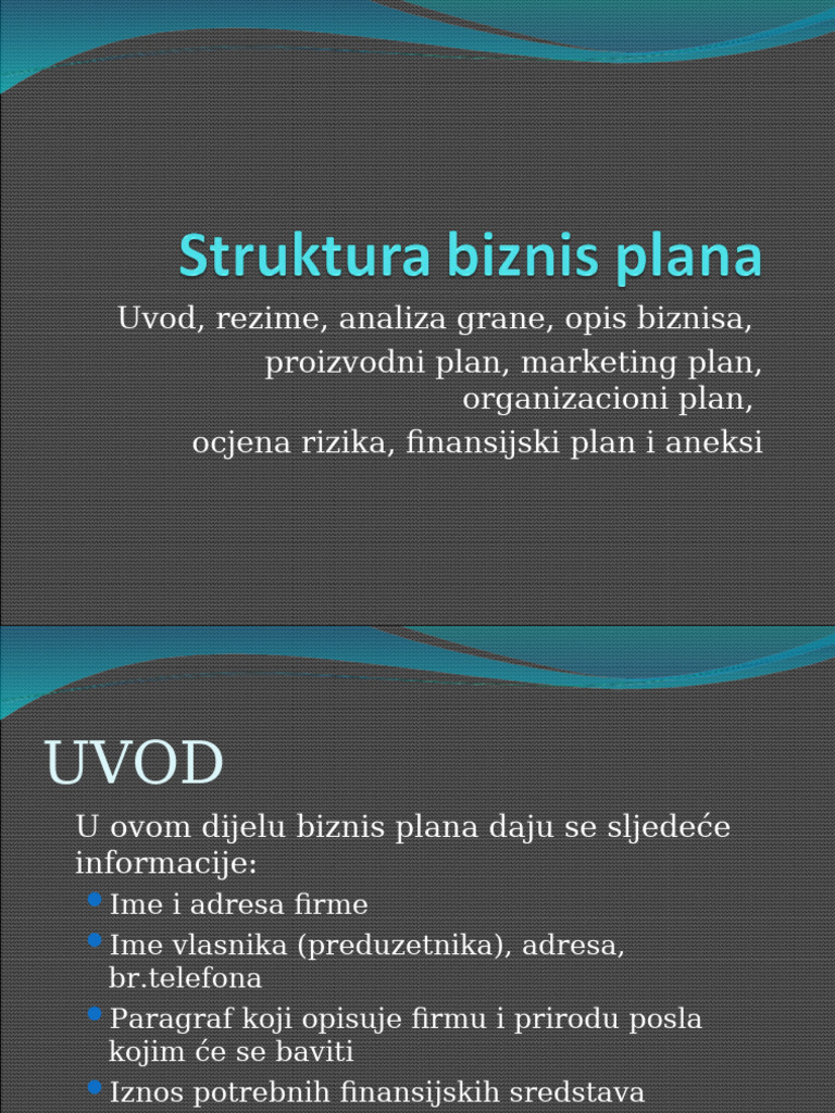 Struktura Biznis Plana | PDF