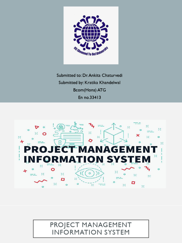 Understanding Project Management Information Systems | PDF | Project Management | Databases