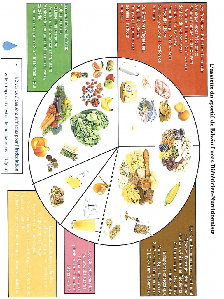 Alimentation Nutritionniste | PDF