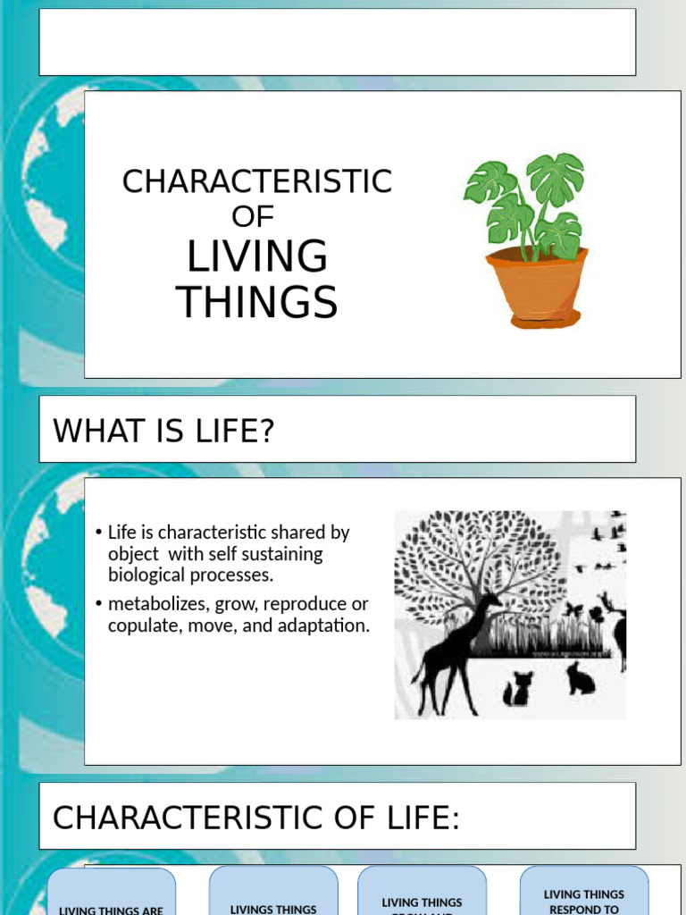 (Done) CHARACTERISTIC OF LIVING THINGS | PDF | Cell (Biology) | Life