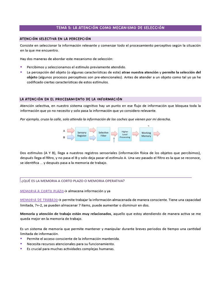 Atención Selectiva y Modelos de Filtro | PDF | Atención | Percepción