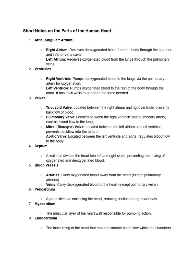Human Heart Parts | PDF