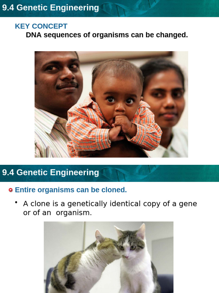 9.4 Genetic Engineering | PDF | Genetic Engineering | Molecular Cloning