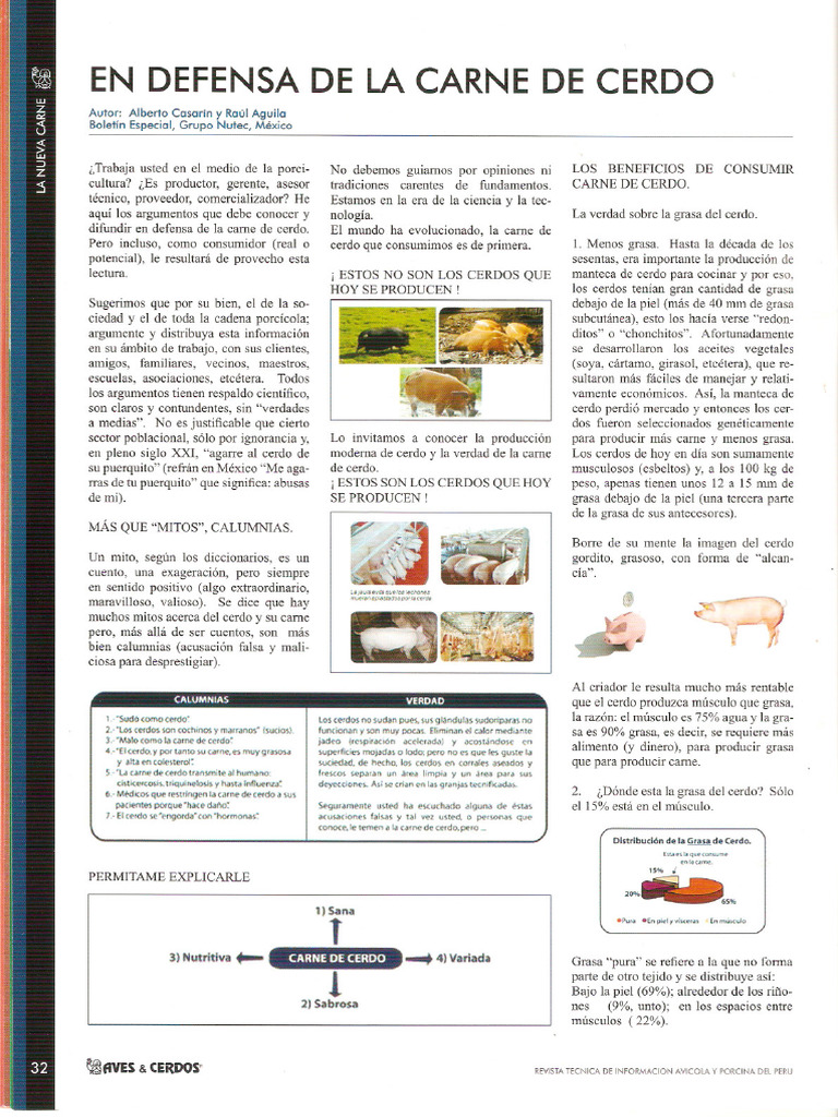 Carne Cerdo Bondades | PDF