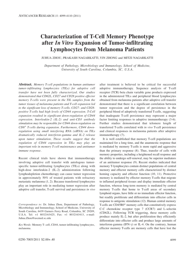 T Cell Memory Phenotype After Expansion | PDF | T Cell | Immunotherapy