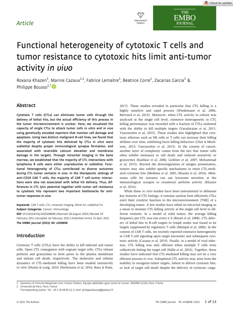 Khazen Et Al 2021 Functional Heterogeneity of Cytotoxic T Cells and ...