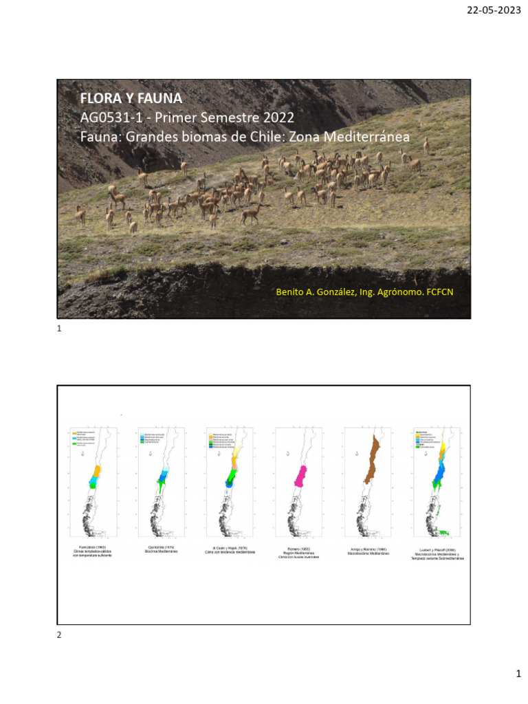 Comprension Del Medio Fauna Chile Zona Centro | PDF
