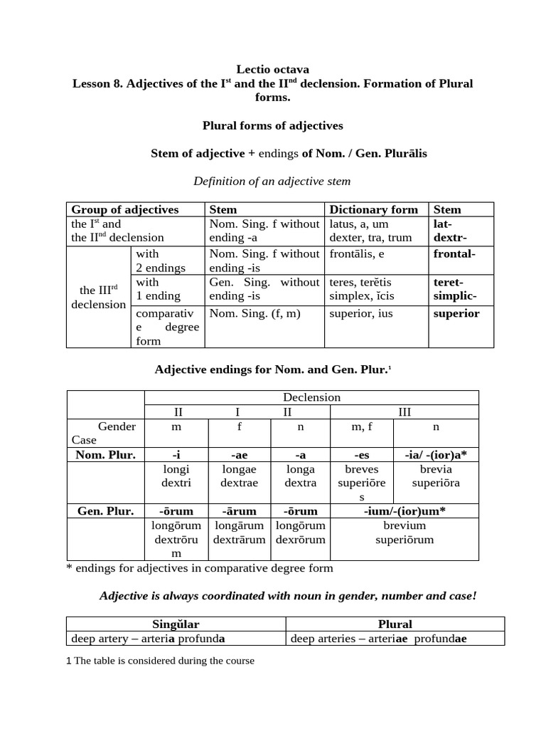 Formation of Plural Forms. (Adj of The I and II Decl) . | PDF ...