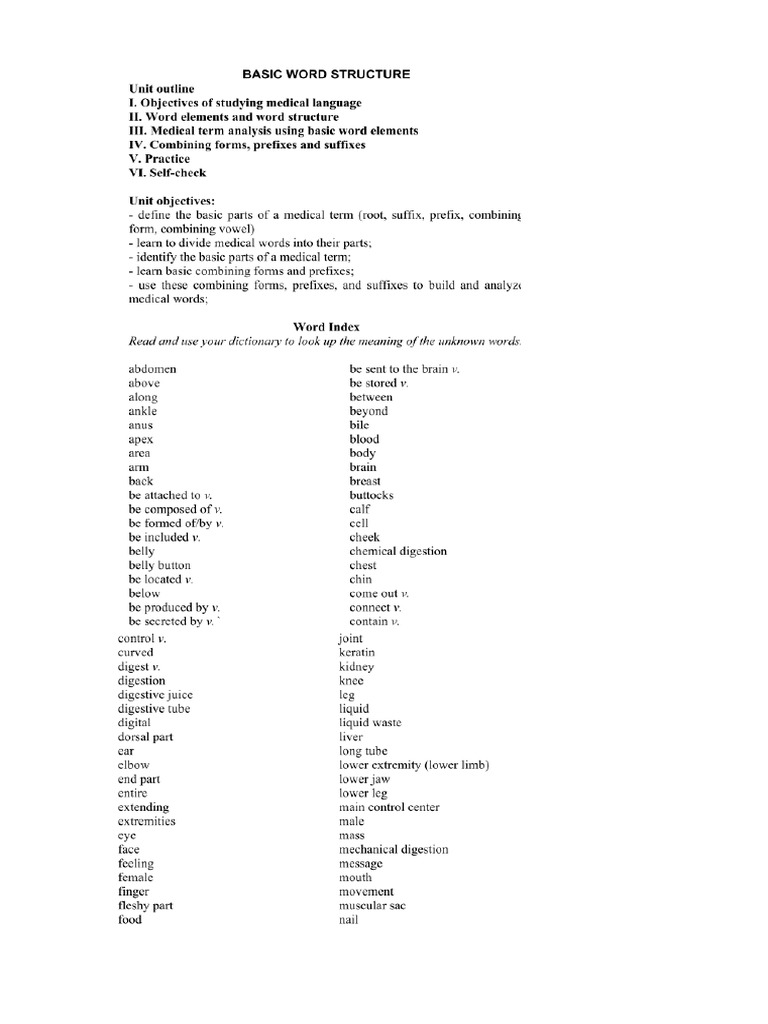 Basic Word Structure | PDF