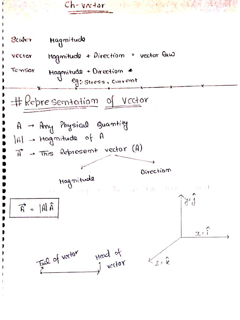 Vector Class 11th Physics | PDF