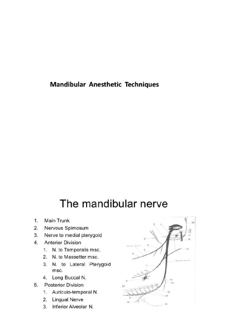 Mandibular Nerve Block Techniques Guide | PDF | Human Anatomy | Human Head And Neck