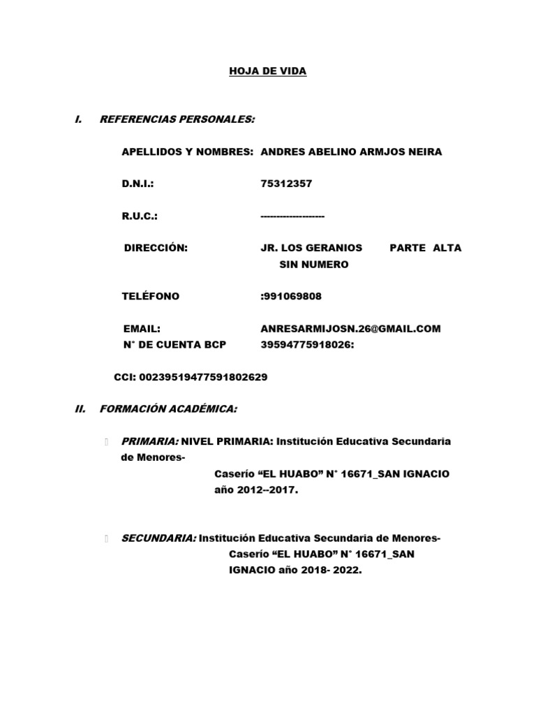 Hoja de Vida Andres | PDF
