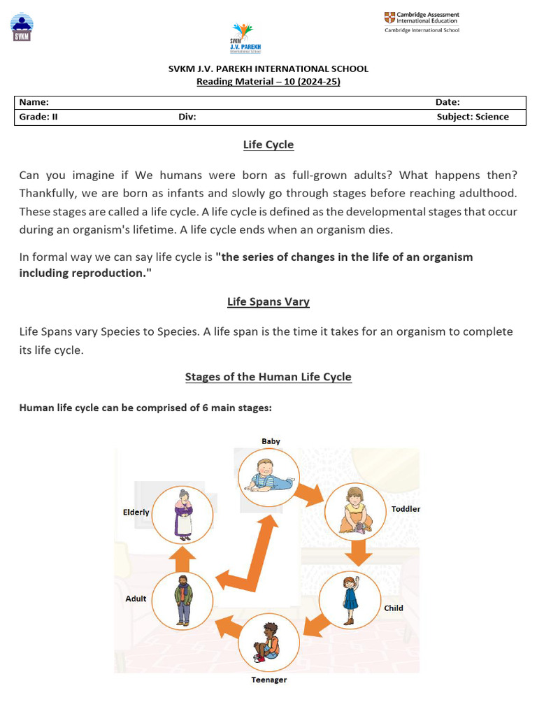 Science Reading Material - 10-Human Life Cycle | PDF | Infants ...