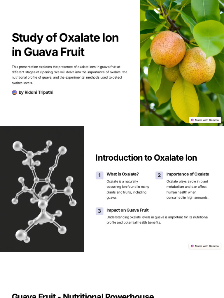 Study of Oxalate Ion in Guava Fruit | PDF | Dietary Fiber | Diet & Nutrition