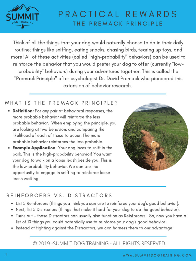 CHICO AYUDA Premack+Principle+-+Practical+Rewards | PDF | Reinforcement ...