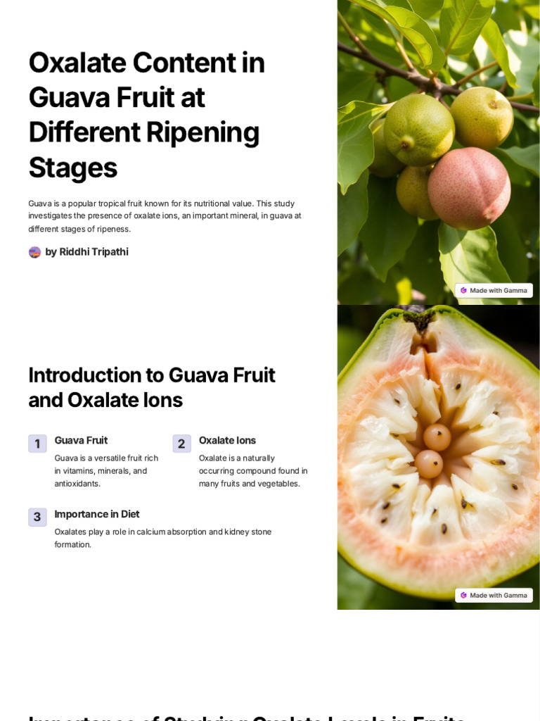 Oxalate Content in Guava Fruit at Different Ripening Stages | PDF ...