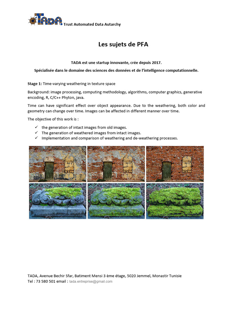 Societe Tada Sujets PFA | PDF | 3 D Computer Graphics | Machine Learning