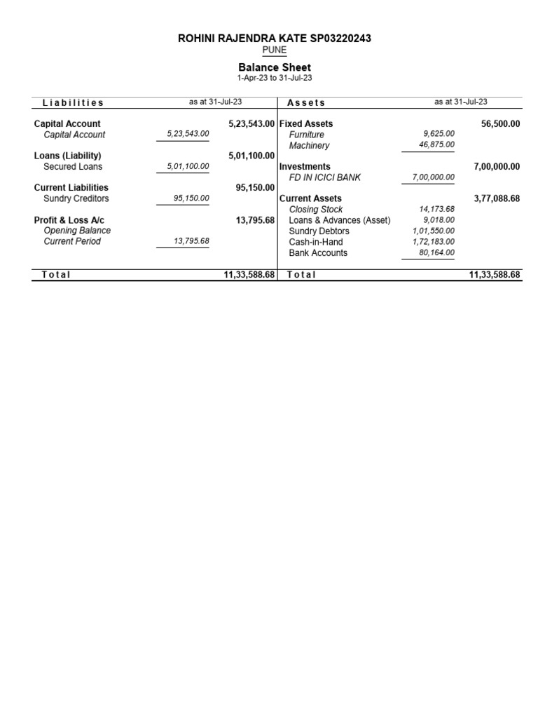 Rohini Balance Sheet New | PDF